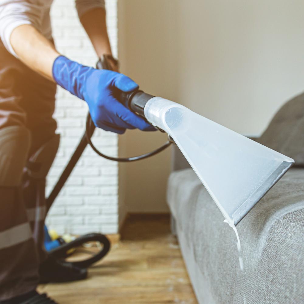 Elsea | Extractor Carpet Vacuum Cleaner | 77 liters